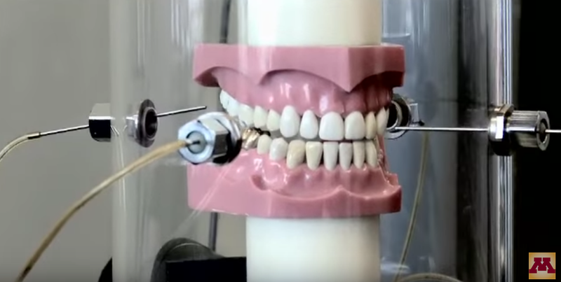 Chewing Simulator Provides Sensory Information - 20170420 - University ...